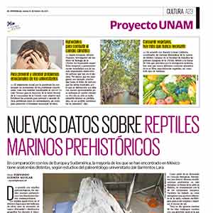 Proyecto UNAM 210212